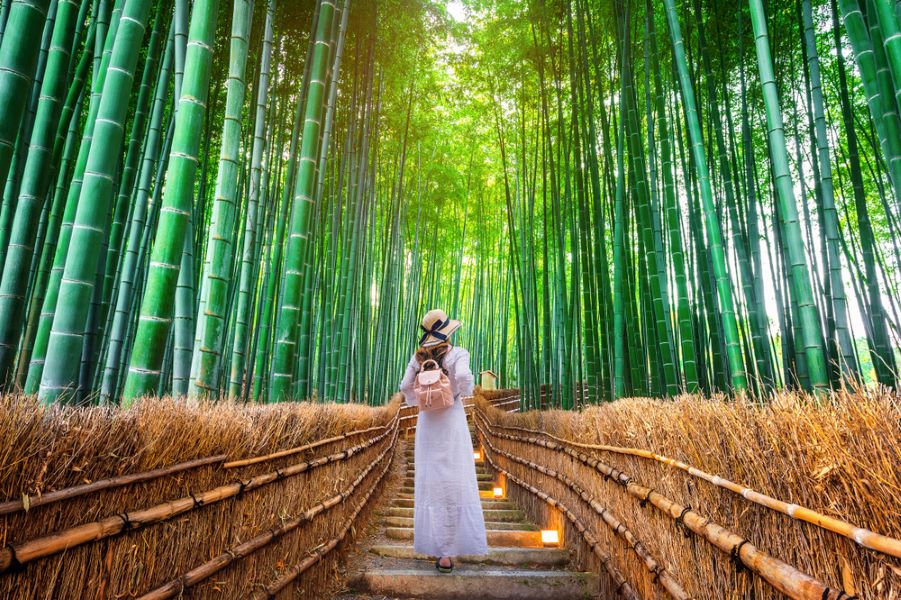 Offbeat Travel; Sagano Bamboo Forest in Kyoto - Getting There